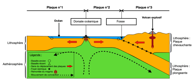 Chapitre 4 – La tectonique des plaques – SVT